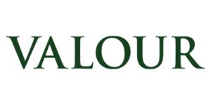 Valour Group - One Real Estate Enterprise